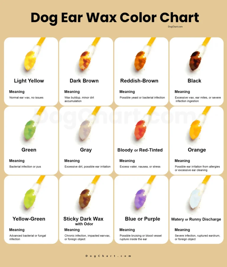 Color Of Dog Ear Wax Color Of Dog Ear Wax